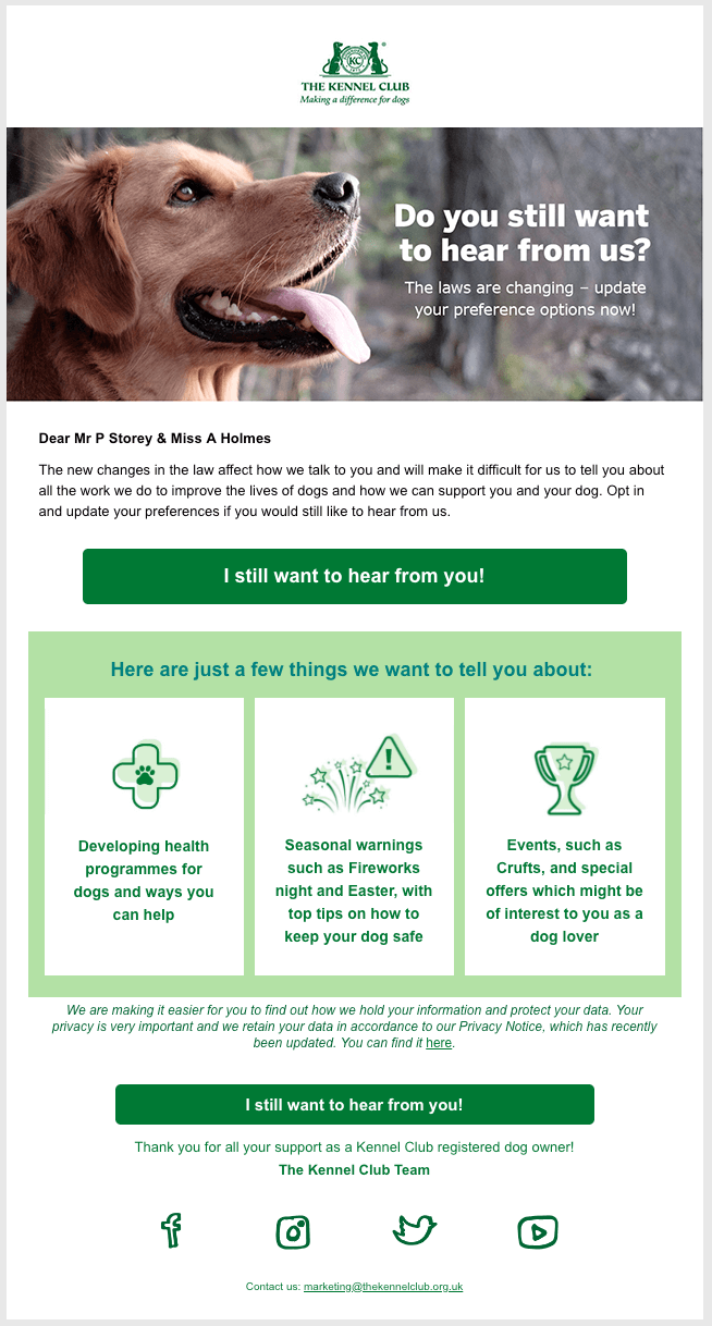 GDPR Repermissioning Email Marketing Examples - Full Guide